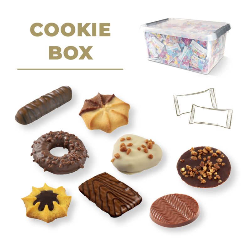 INFINITY BOX - Lion Products