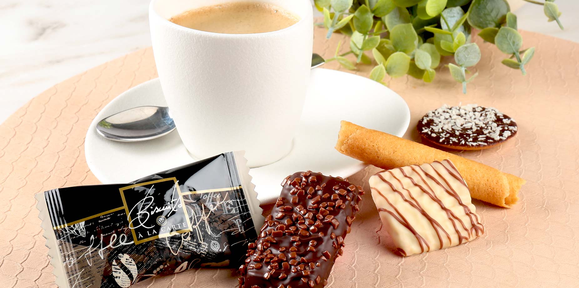 Home - Lion Products